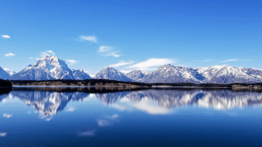 Explore From Home: Virtual Lessons from Yellowstone & Grand Teton ...